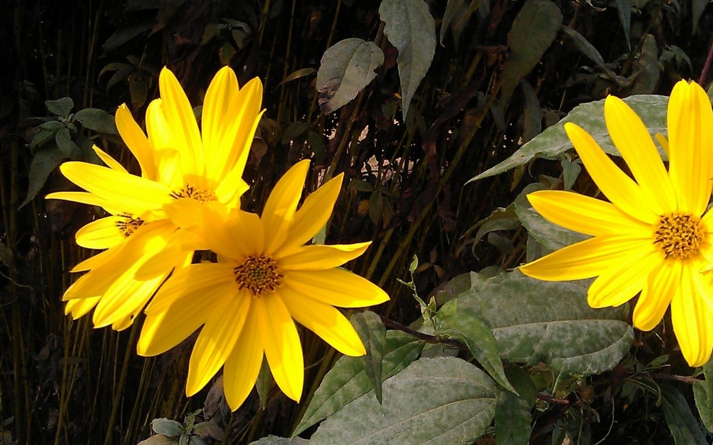 Alta Langa is a Scenic Place to Visit in Piedmont - Piedmont Travel Blog