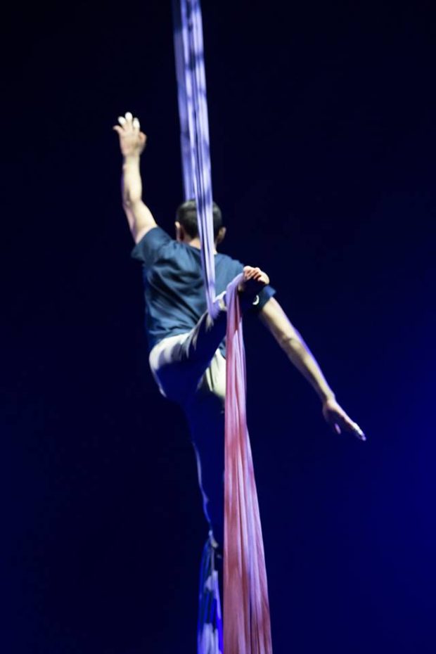 Unique Experience in Turin | Day at the Circus Cirko Vertigo - Turin Blog